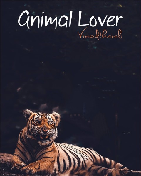 🔥Animal Lover Photo Editing Background | PngBackground