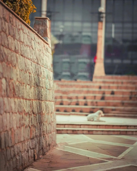 🔥Autodesk Photo Editing Background Download Pic | PngBackground