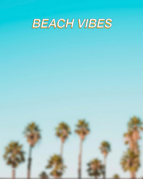 🔥Beach Tree Picsart HD Background Download Free | PngBackground