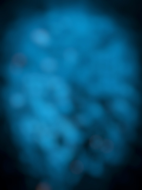 🔥Blue Snapseed Photo Editing Background For CB Picsart | PngBackground