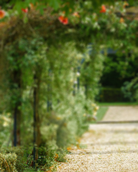 🔥Blur Garden Photo Editing Background Download Free | PngBackground