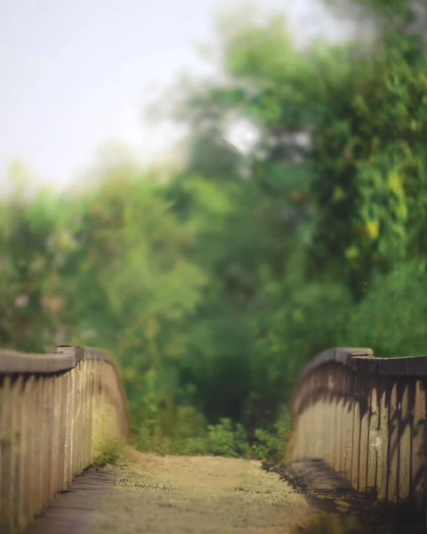 🔥Blur Green Background Nature Editing New Background CB Images Free ...