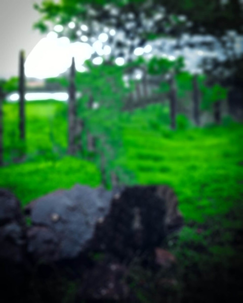 🔥Blur Green Lightroom Background CB New Full HD Pics | PngBackground