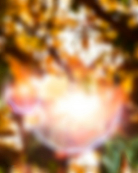 🔥Blur New Photo Editing CB Background Download Pic | PngBackground