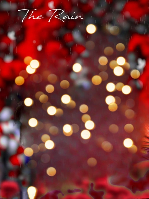 🔥Bokeh Light Photo Editing CB Background Full HD | PngBackground