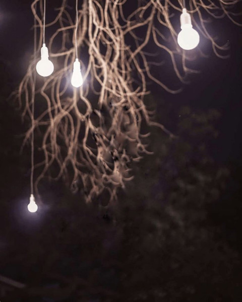 🔥Bulb Light Picsart Background Images Download Free | PngBackground