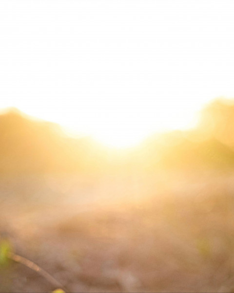 🔥CB Blur Editing Nature Sunlight Background HD Download | PngBackground