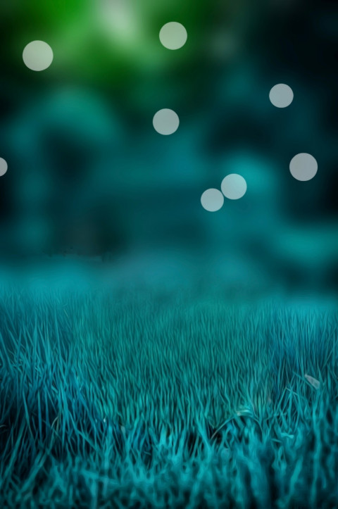 🔥CB New Bokeh Background Download For HD Photo Editing | PngBackground