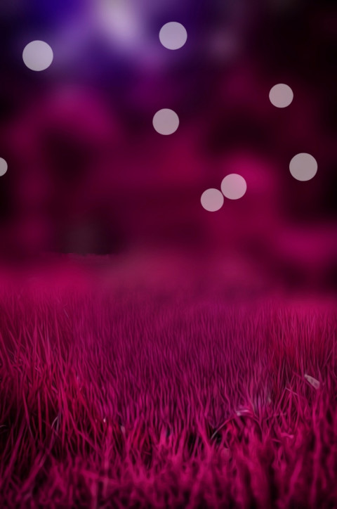 Black Background Photo Editing Picsart Background - Infoupdate.org