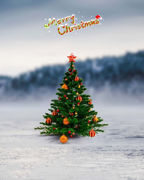 🔥Christmas Tree New HD Background For CB Editing | PngBackground