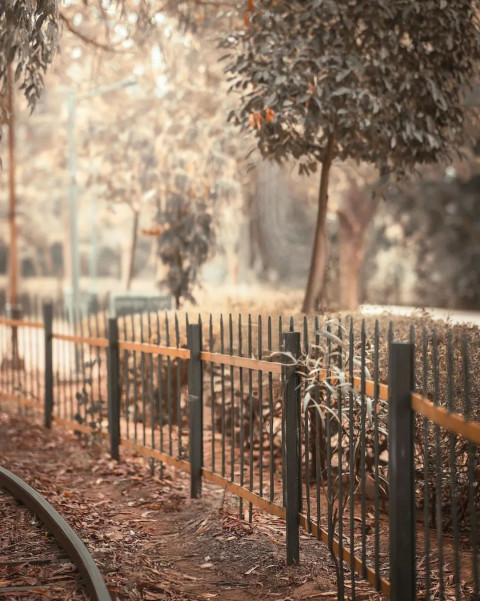 🔥Dark Brown Color Tree Nature Cool Background For Editing New ...