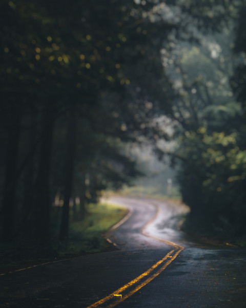 🔥Dark Photoshop Nature Background HD Downloaad For CB Editing Free ...