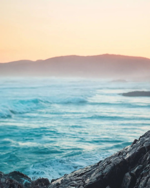 🔥Download Viral See Wallpaper For Snapseed Editor Images | PngBackground