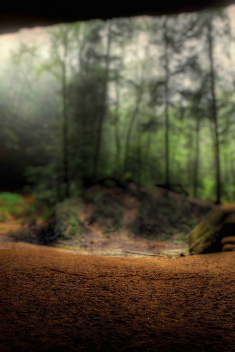 🔥Dslr Background For Picsart & Photoshop Editing | PngBackground