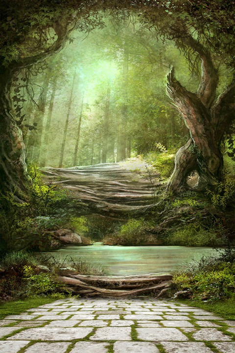 🔥Flowers Studio Background HD Download Pics | PngBackground