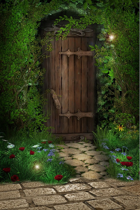 🔥Forest Outdoor Studio Background Download Free | PngBackground