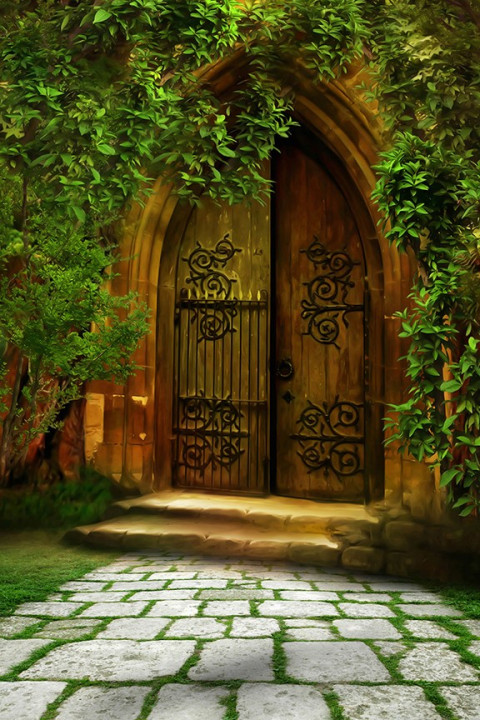 🔥Forest Outdoor Studio Background Download HD | PngBackground