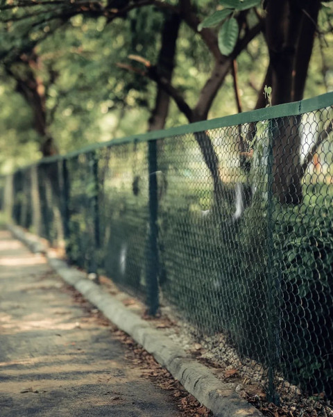 🔥Forest Protection Photoshop Cool Nature Forest Wallpapers CB ...