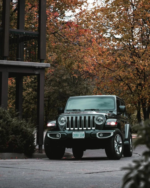 🔥Free Download Online Editor HD Thar Background Wallpaper | PngBackground