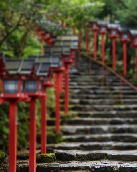 🔥Garden Photo Editing Nature Editing Background Free | PngBackground