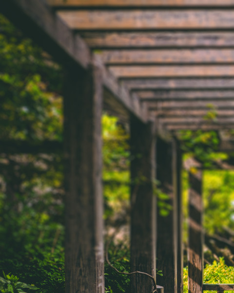 🔥Garden Photo Editing Nature Editing Background New | PngBackground