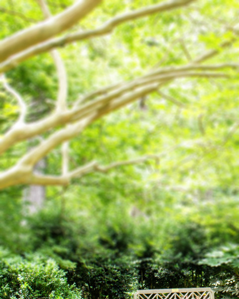 🔥Green Garden CB Picsart Photo Editing Background Free HD | PngBackground