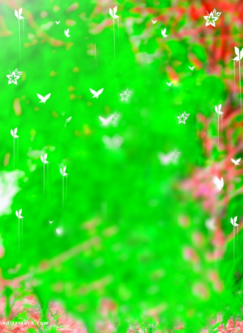 🔥Green PicsArt CB Background For Photo Editing Download | PngBackground