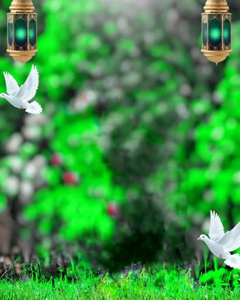 🔥Green PicsArt CB Background For Photo Editing Download Pic | PngBackground