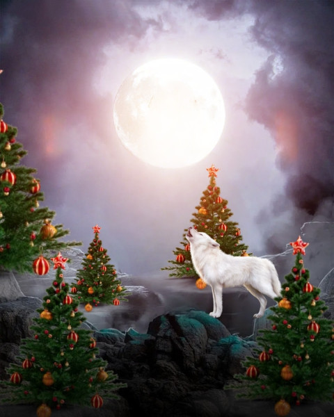 🔥Happy Christmas Tree Editing CB Background Full HD | PngBackground