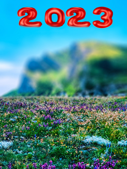 🔥Happy Near Year 2023 Forest Blur CB Editing Background | PngBackground