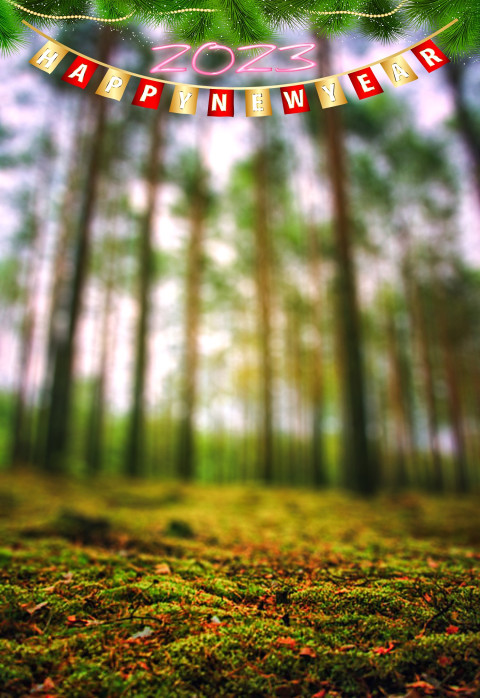 Happy Near Year 2023 Forest Blur CB Editing Background Free | PngBackground