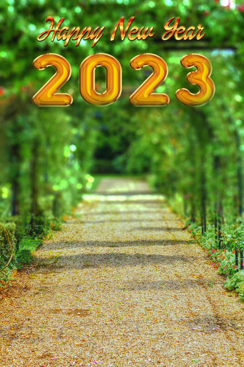🔥Happy Near Year 2023 Forest Blur CB Editing Background New | PngBackground