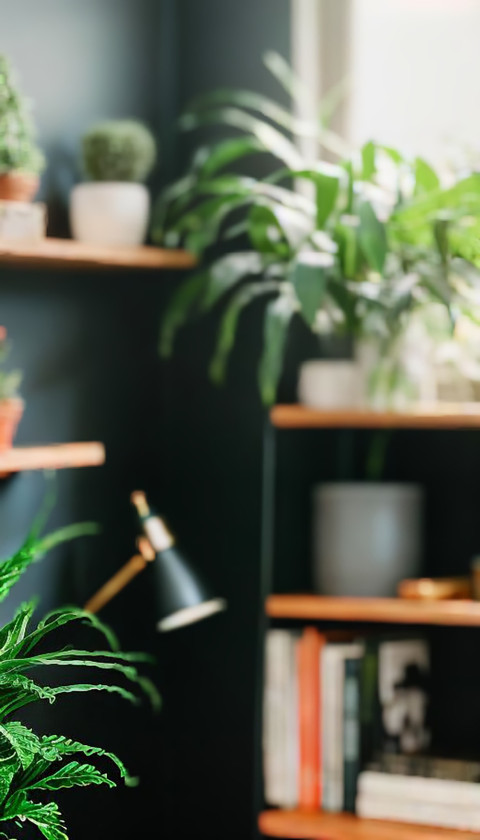 🔥HD Blur Studio Background For Video Editing Pack Images Img ...