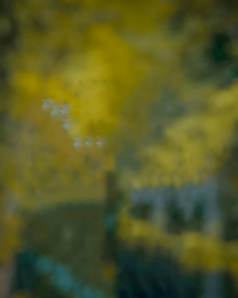 🔥Instagram Photo Editing CB Nature Background HD | PngBackground