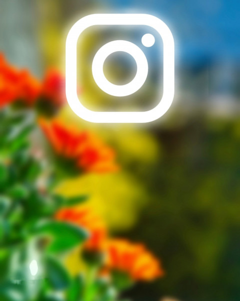 🔥Instagram Photo Editing HD Background Download Pic | PngBackground