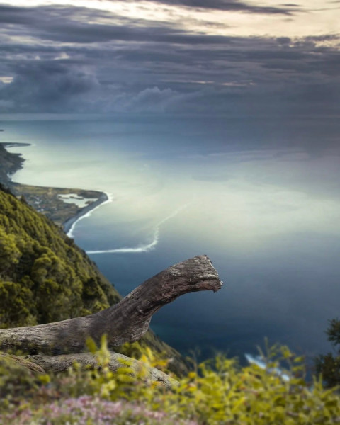 🔥Instagram Viral Background Free Images HD Wallpapers | PngBackground