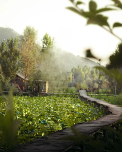 🔥Instagram Viral Editing Nature Background Images HD | PngBackground