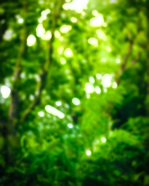 🔥Lightroom Green Blur Background HD New Images Free | PngBackground