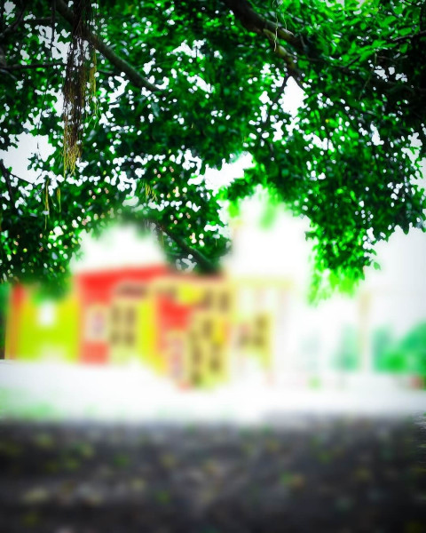 🔥Lightroom Green Blur Editing Free New Background HD | PngBackground