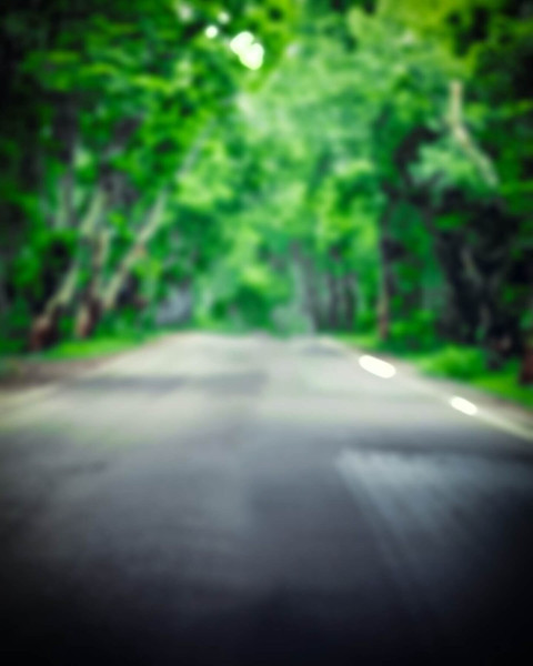 🔥Lightroom Gren Background Blur Image Free Wallpapers HD | PngBackground