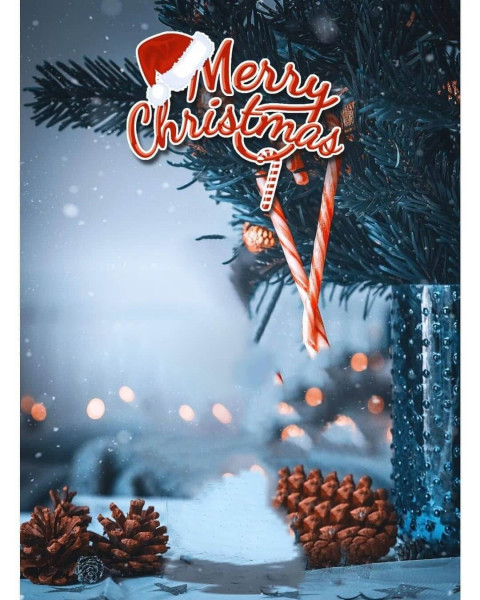 🔥Merry Christmas Tree Editing Background Cb Photoshop | PngBackground