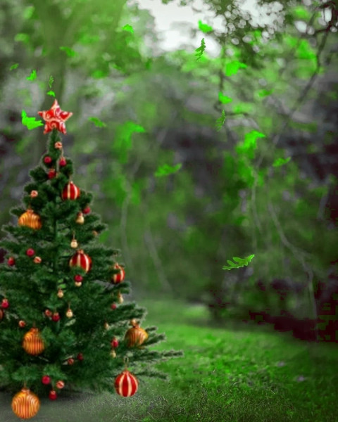 🔥Merry Christmas Tree Editing CB Background Full HD | PngBackground