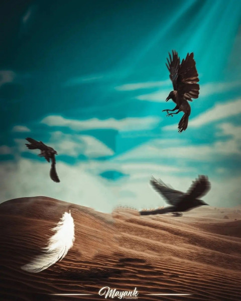 🔥Movie Poster Editing Background HD For Picsart Photoshop | PngBackground