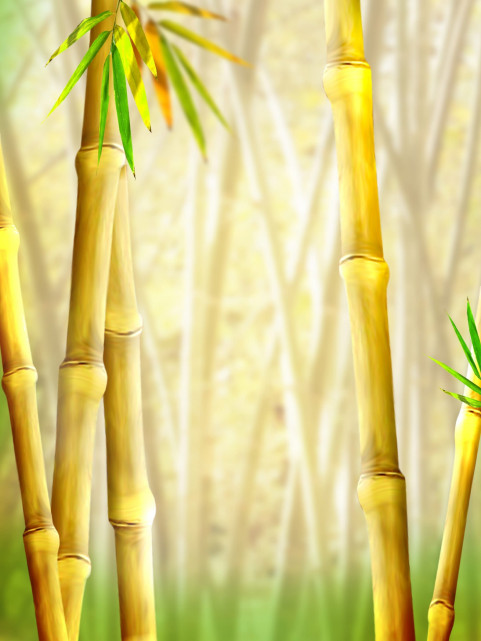 🔥Nature Backdrop Studio Editing Background Full HD Free | PngBackground