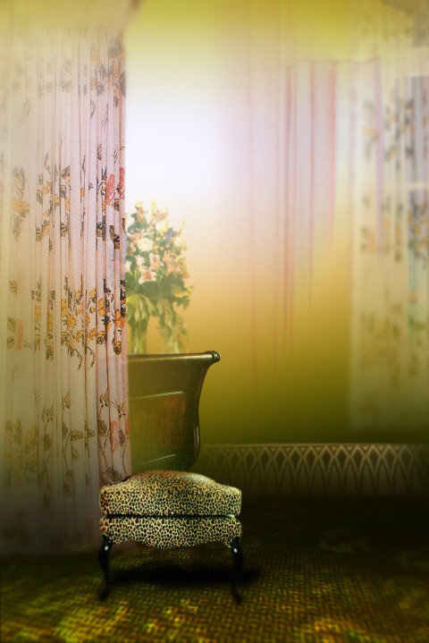 🔥Nature Backdrop Studio Editing Background Full HD Ultra | PngBackground