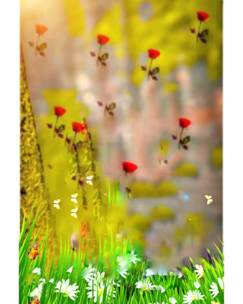 Nature Background For Photoshop Editing 1 Background