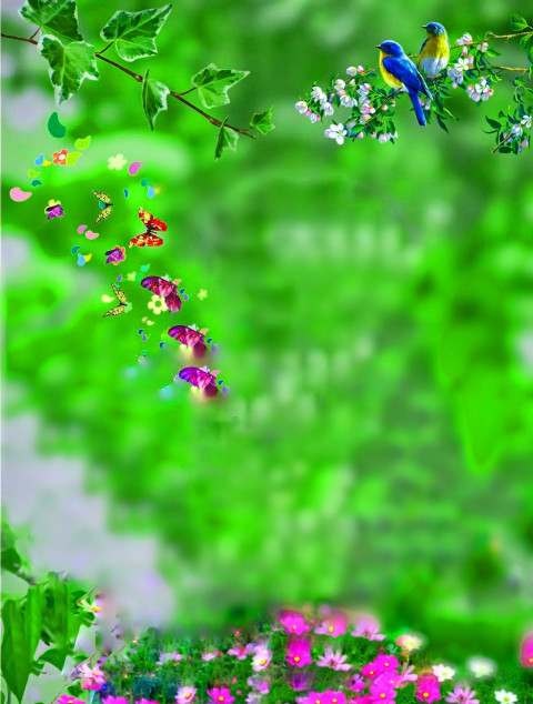 🔥Nature Birds CB Editing Green Background Download | PngBackground