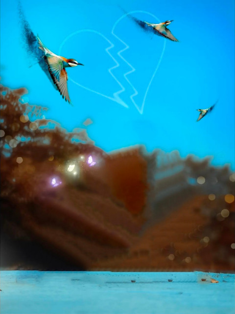 🔥Nature Flying Birds Photoshop Rdx Editor Background HD | PngBackground