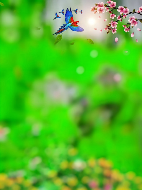 Cd background hd store