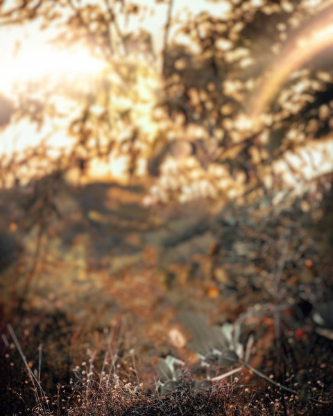 🔥Nature NSB Picture Background Free Full HD | PngBackground